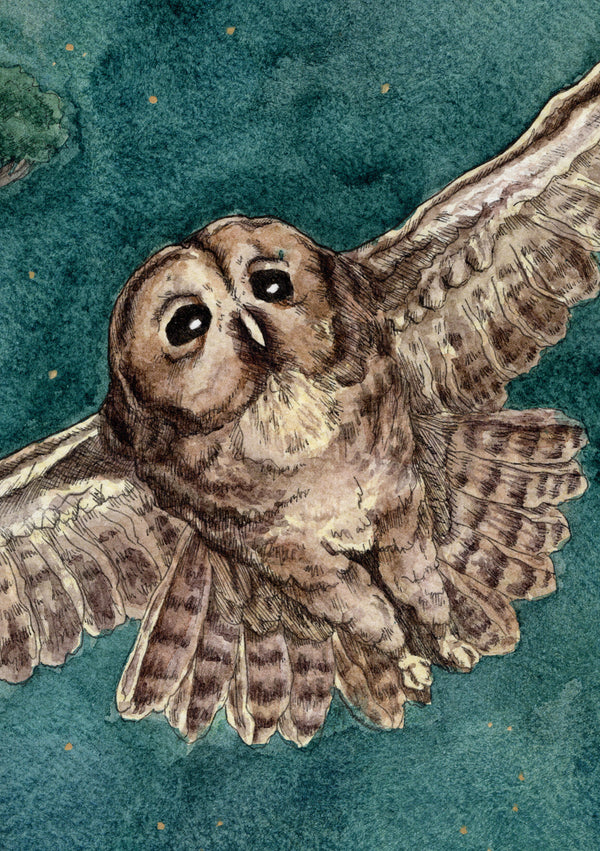 Owl In Flight | Print – greenfoxillustration