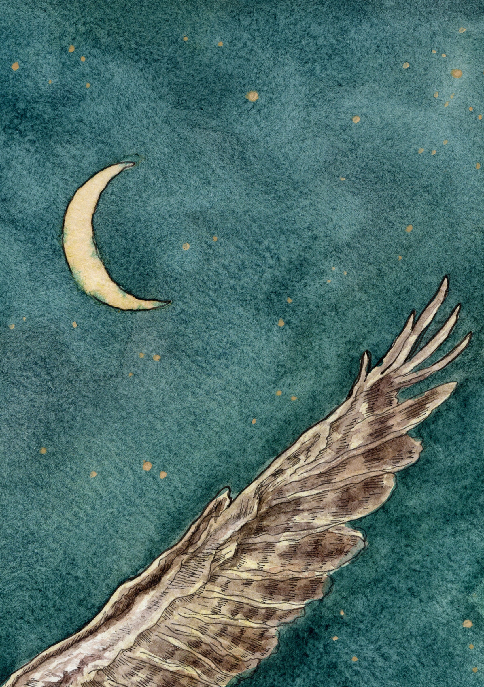 Owl In Flight | Print – greenfoxillustration