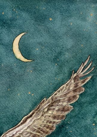 Owl In Flight | Print – greenfoxillustration