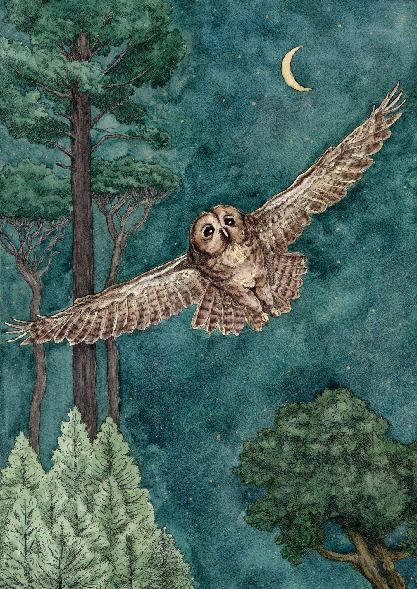 Owl In Flight | Print – greenfoxillustration